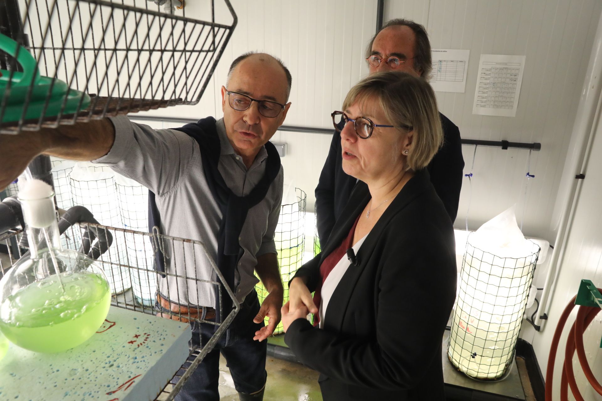 Service formation continue